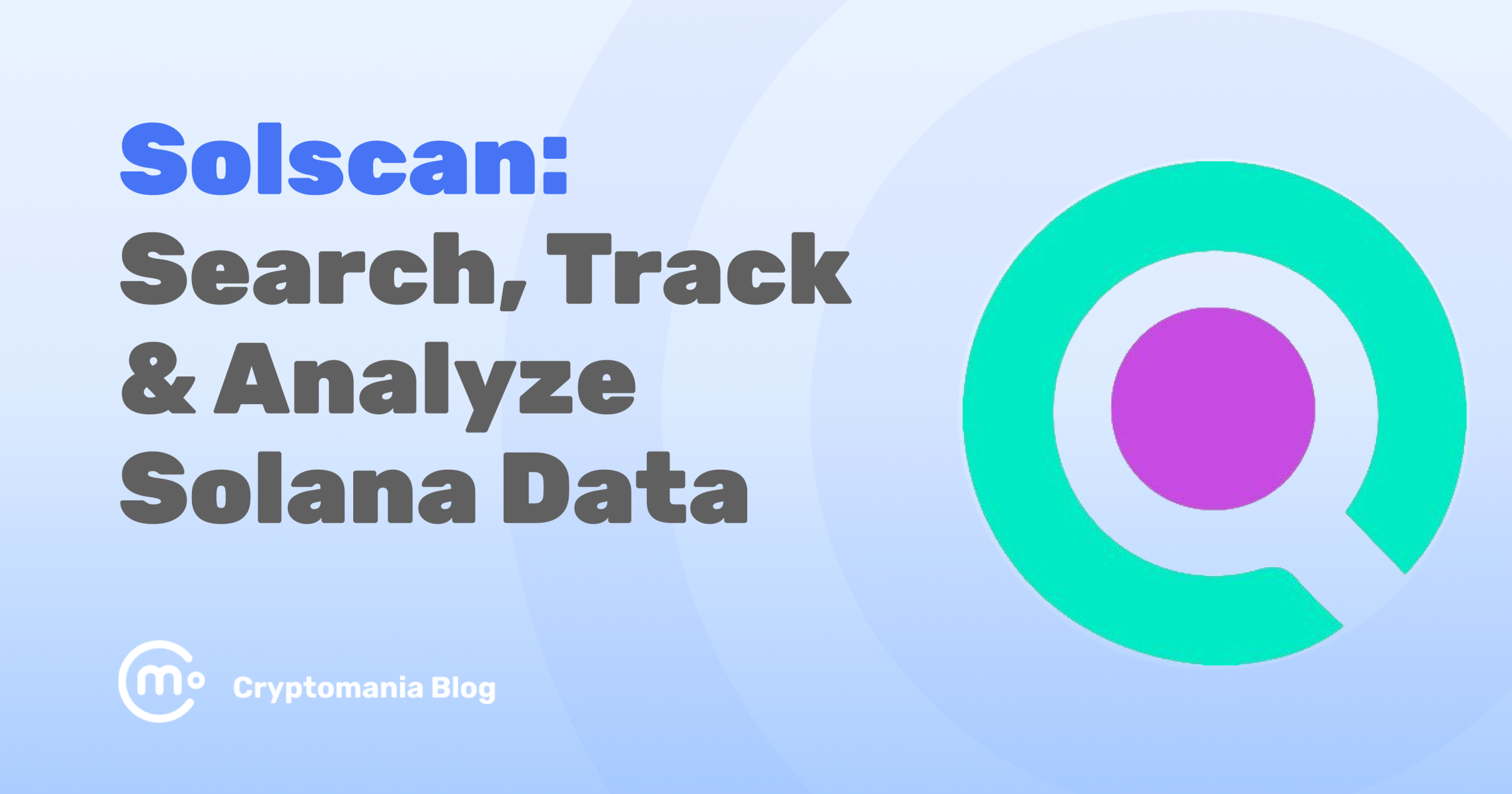 What Is Solscan And How To Read It? - Cryptomania