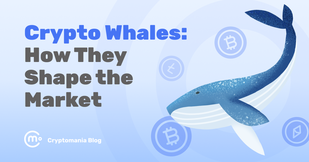 Crypto Whales: Who Are They and How Do They Influence The Market ...