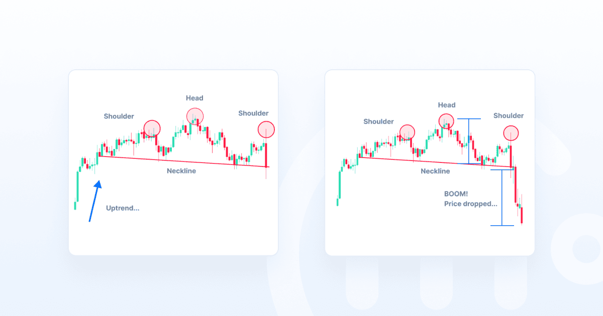 How to Read a Crypto Chart: Beginner's Guide